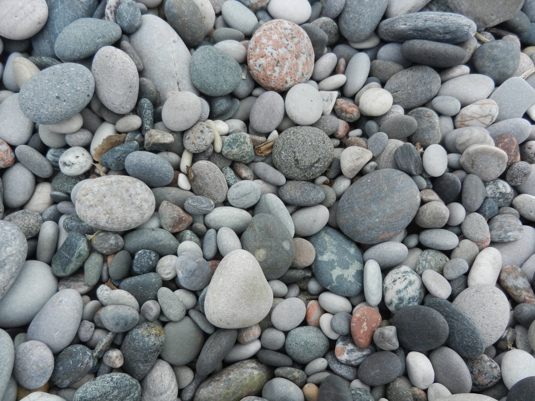 Rewriting Your Story – The Path to My Heart