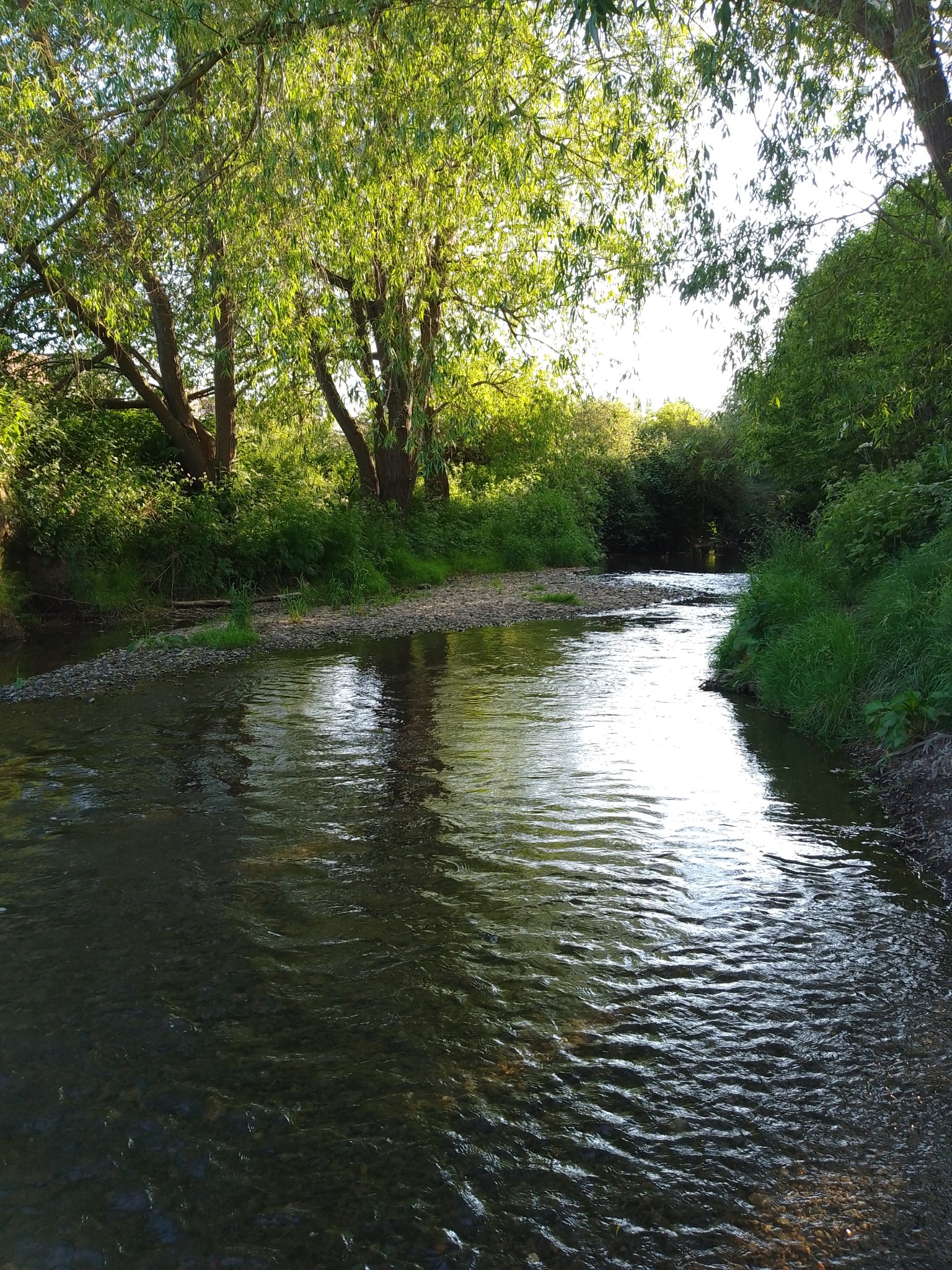 Loving Rock Tumbling – The Path to My Heart