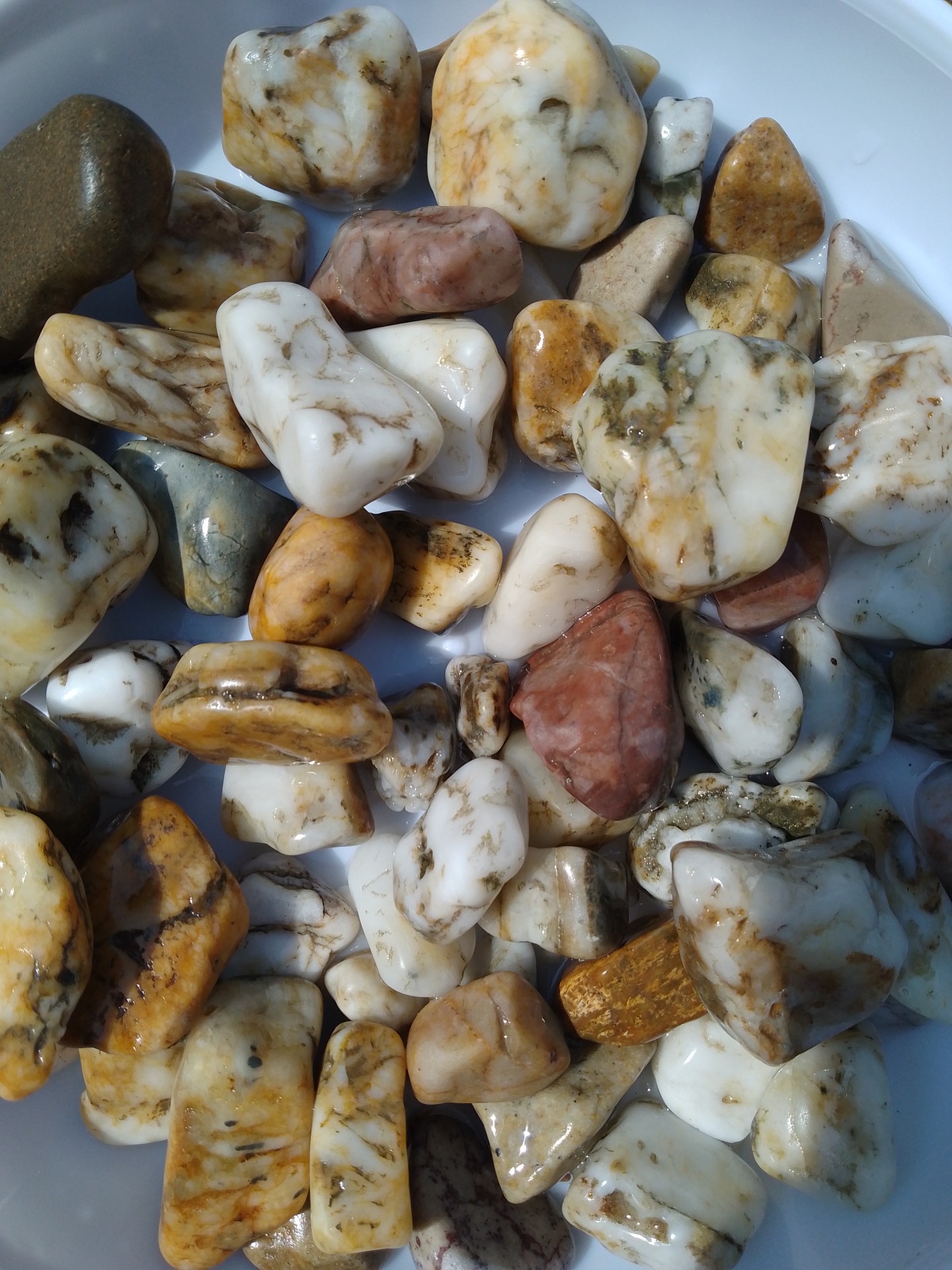Polished River Rocks – Finally! – The Path to My Heart